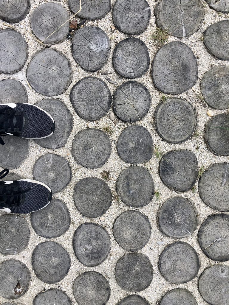 Une école primaire en bois, terre et paille - Marcelle